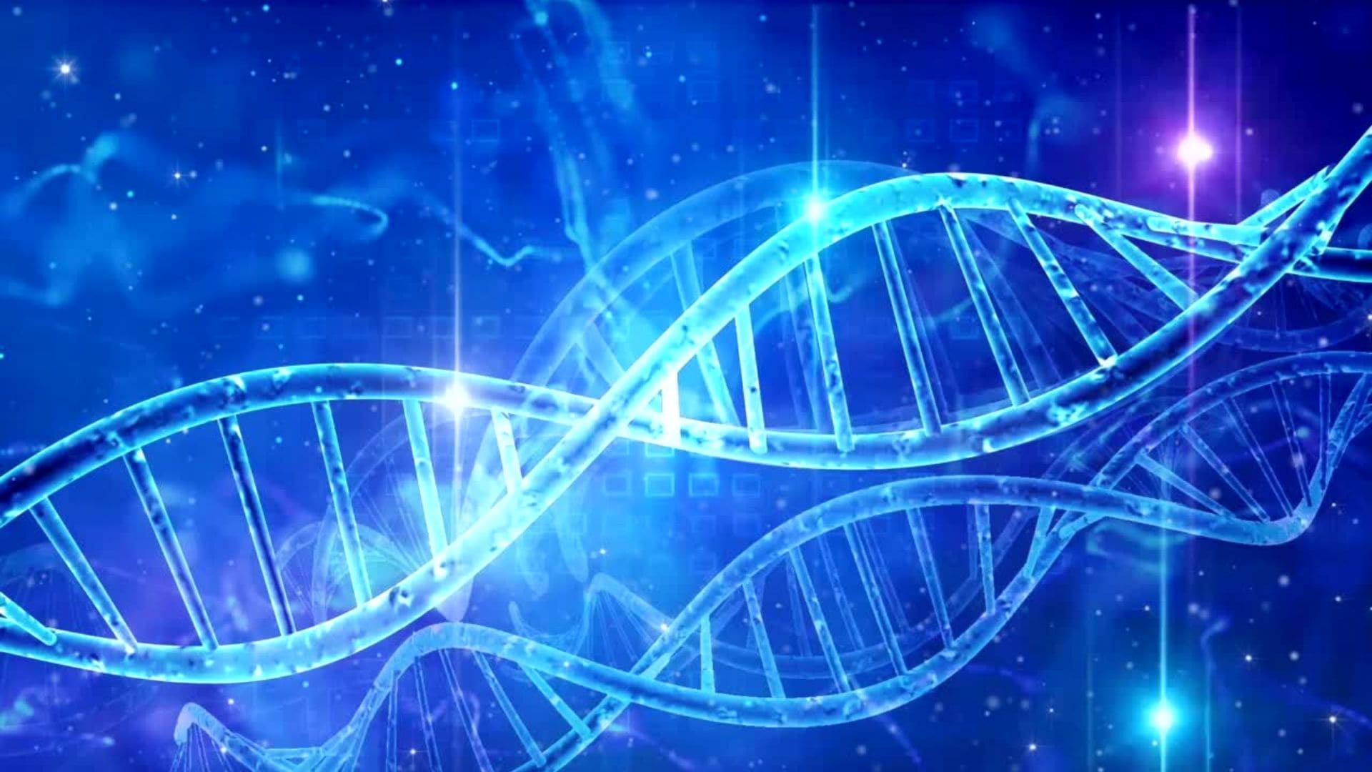 Knowledge Hub - SURE-AMR